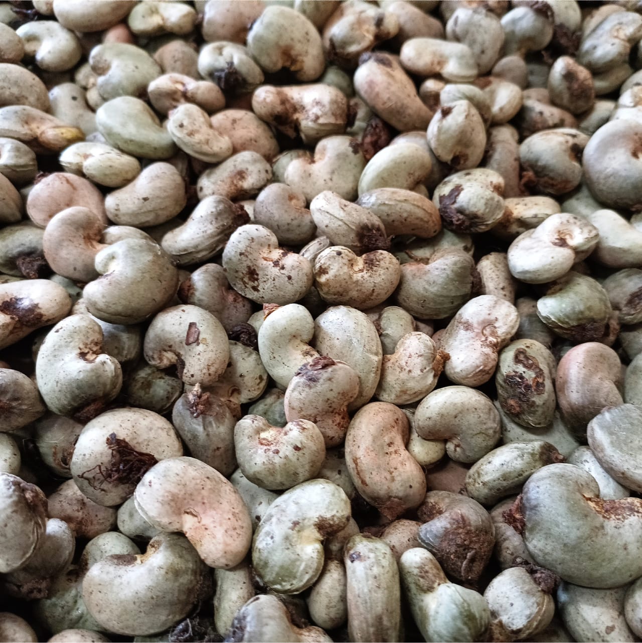 Presentation - Phát Phúc Trading